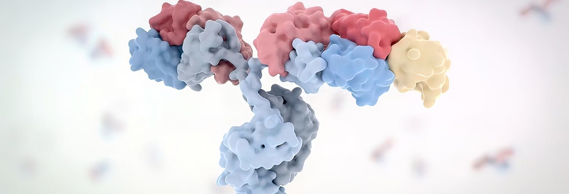 Anti-PTM antibodies warrant further investigation as markers for ...